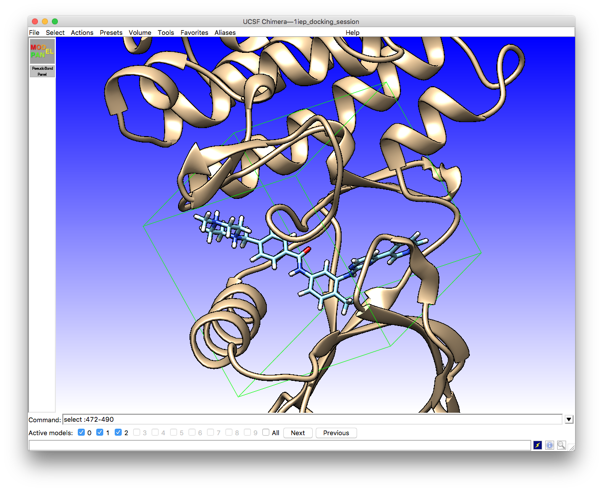 7. Protein-ligand docking with Chimera and Vina – ScotChem